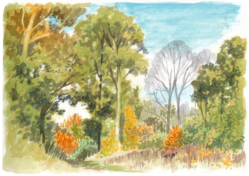 paintings - Sue Haslam Artist