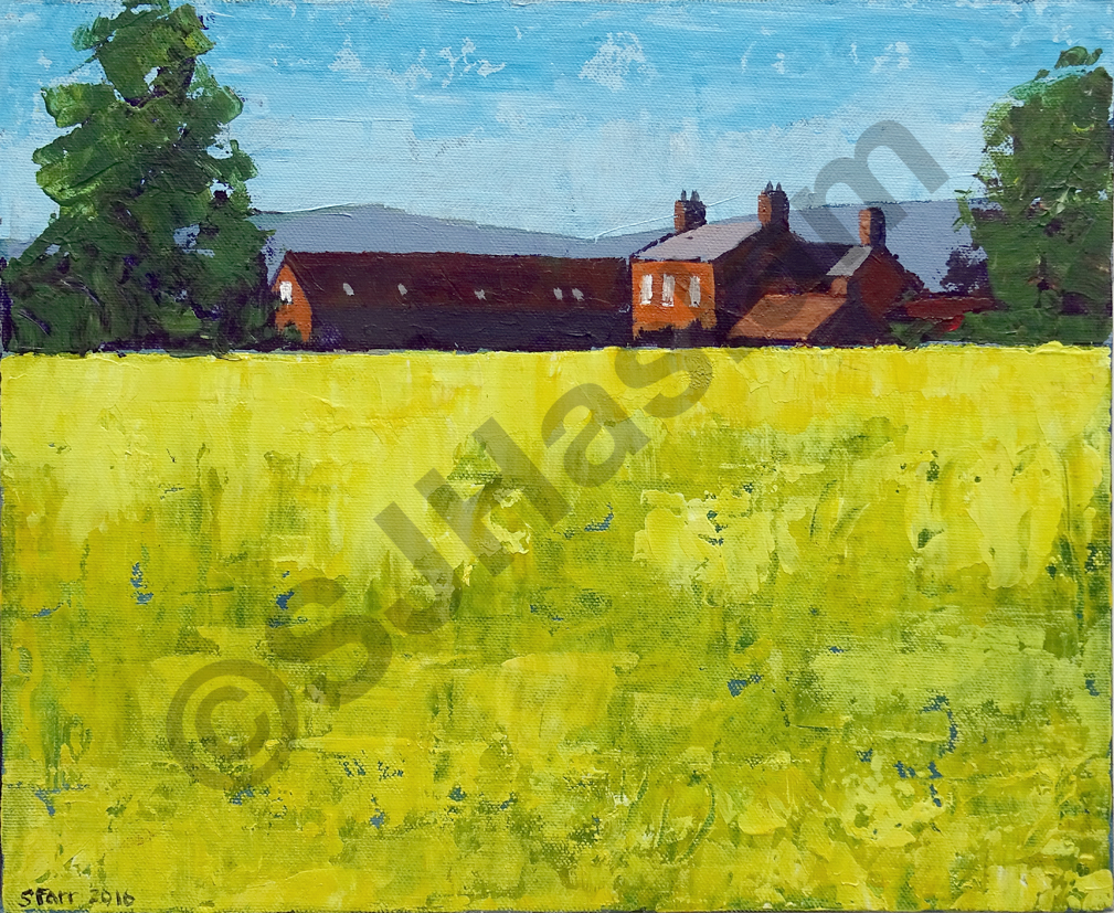 paintings - Sue Haslam Artist