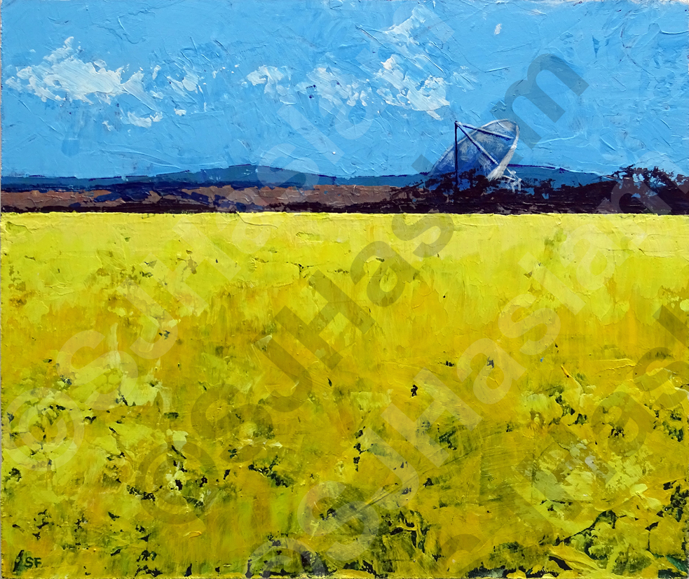 paintings - Sue Haslam Artist