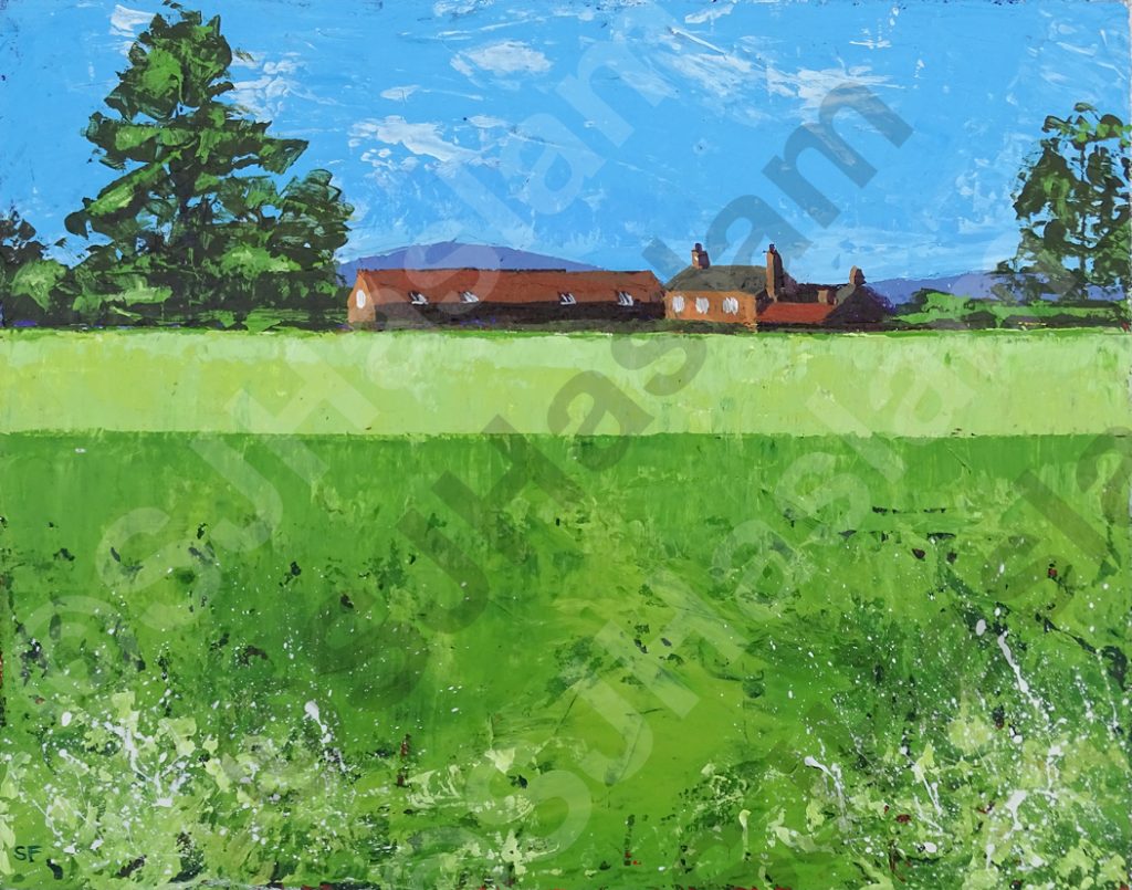 paintings - Sue Haslam Artist