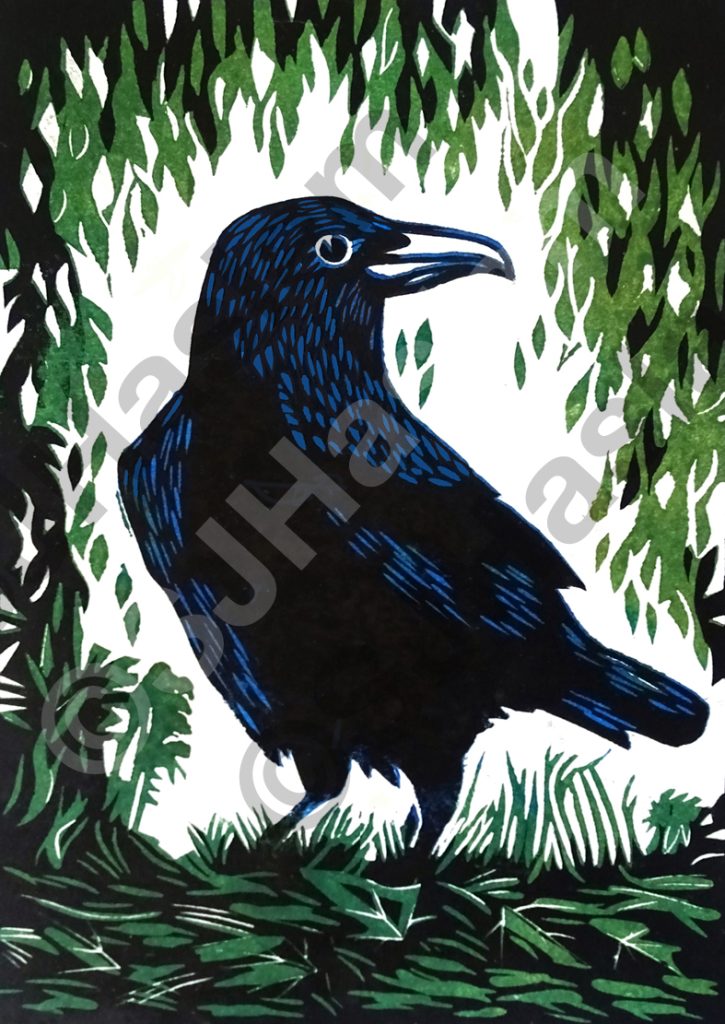 prints - Sue Haslam Artist